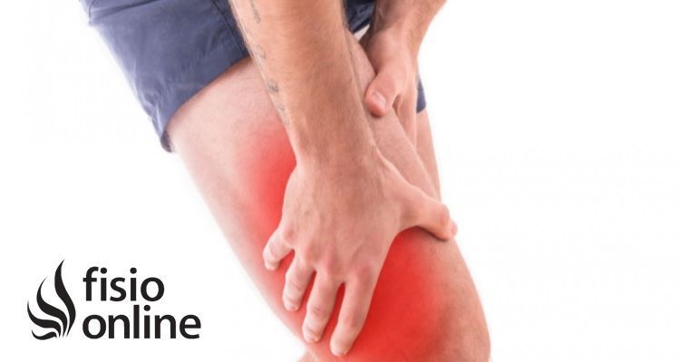 Contusiones del cuádriceps