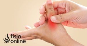 Fractura de los dedos o del pulgar